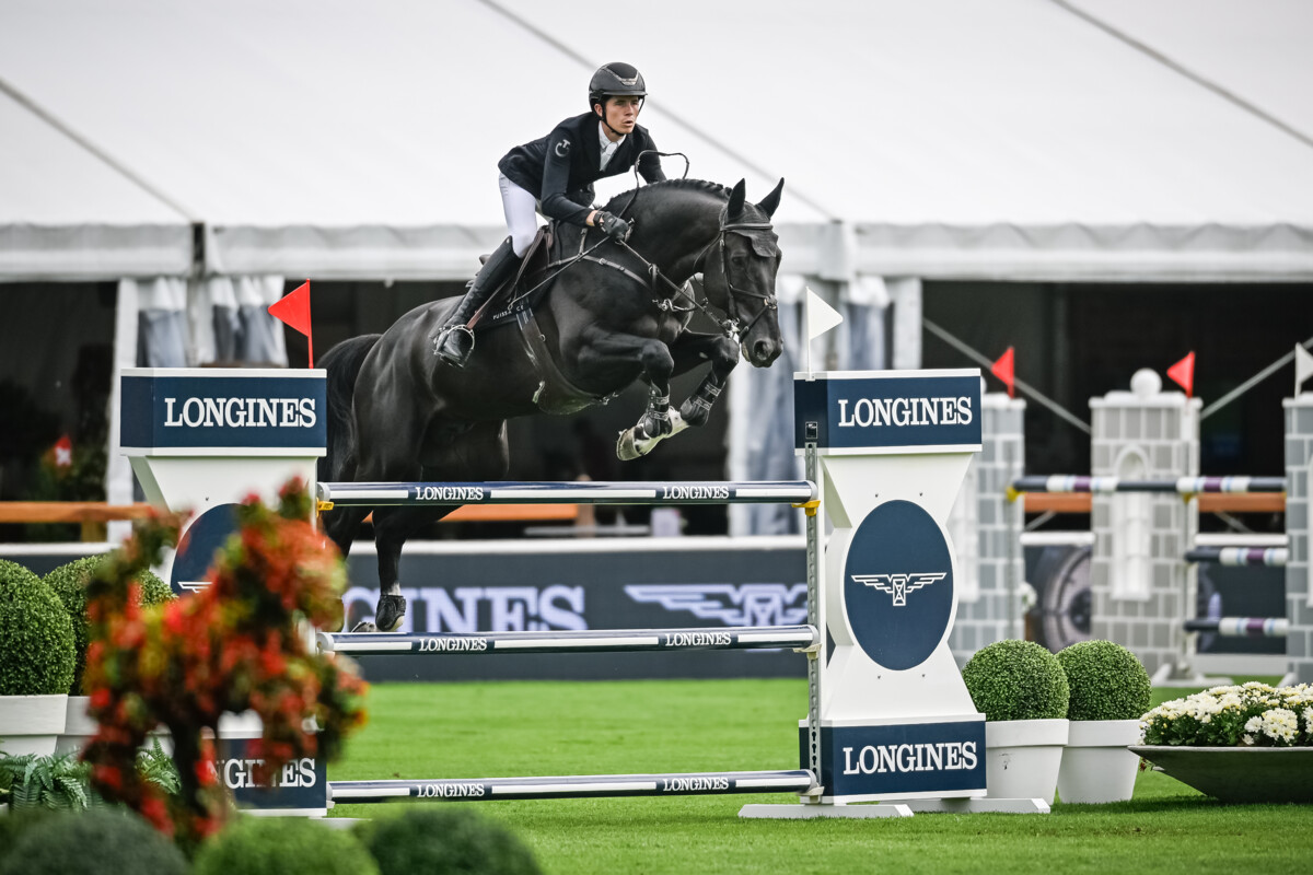 Stal Ceulemans - Impress-K Van 'T Kattenheye Z